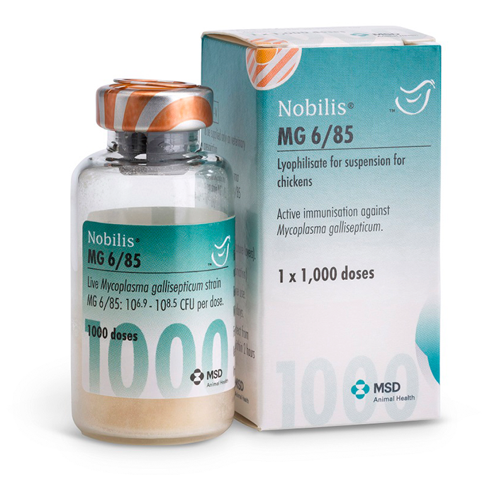 Nobilis IB 4-91 - CYCON Animal Health